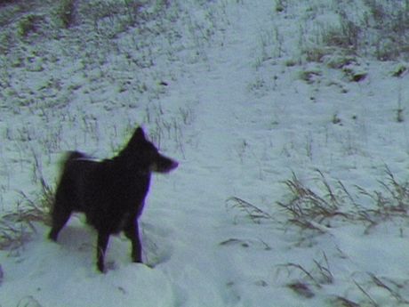 Do It (1997-) - Exhibitions - Independent Curators International