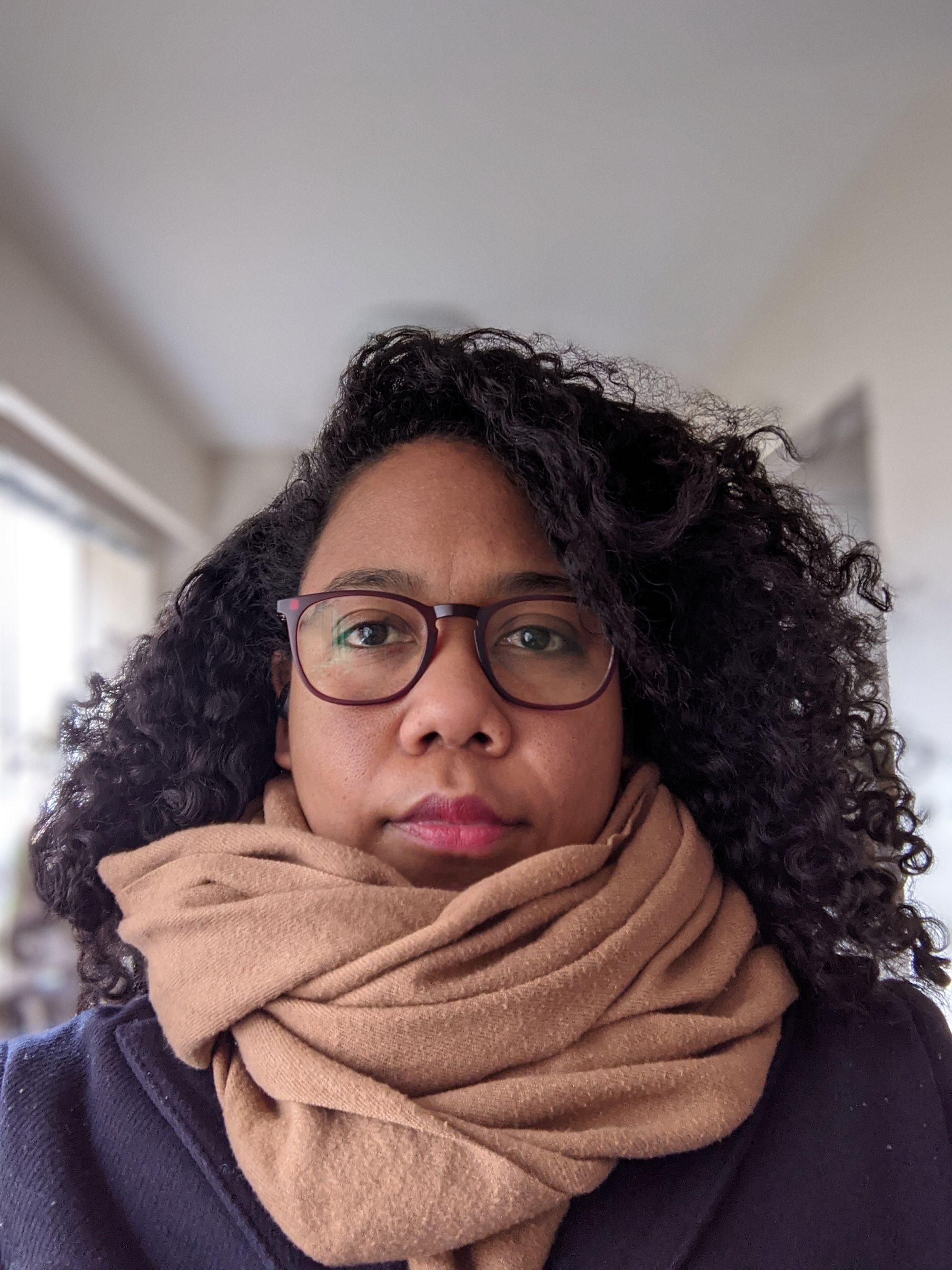 Denise Ryner - About - Independent Curators International